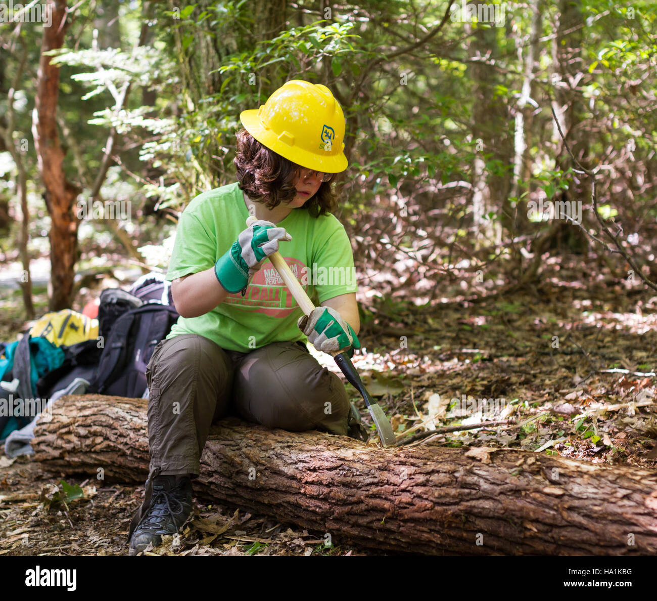 This image shows the Student Conservation Association and Girl Scout ...