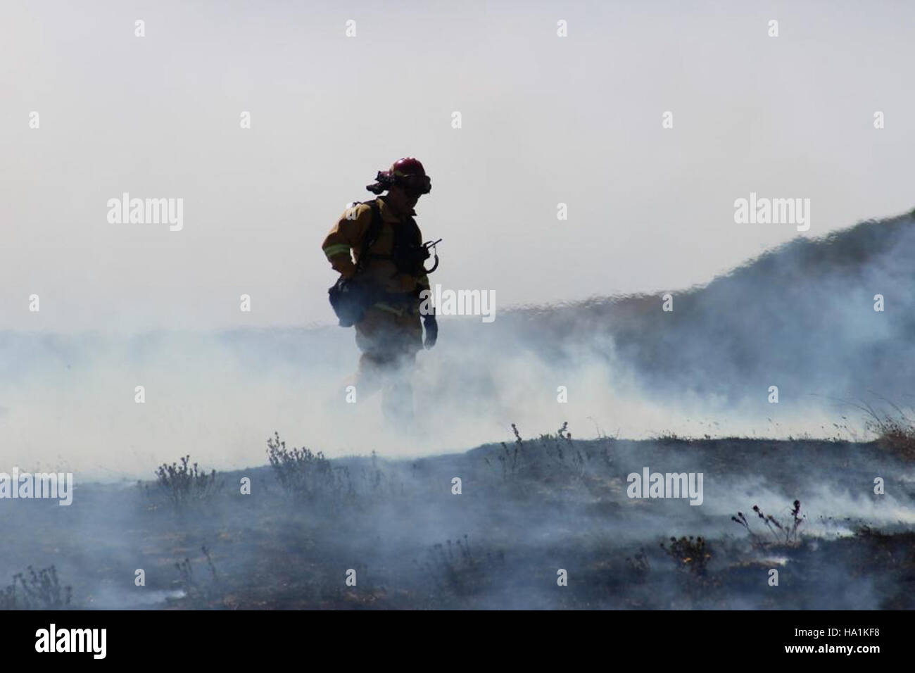 Firefighters manage wildfires in U.S. forests, working to prevent the ...