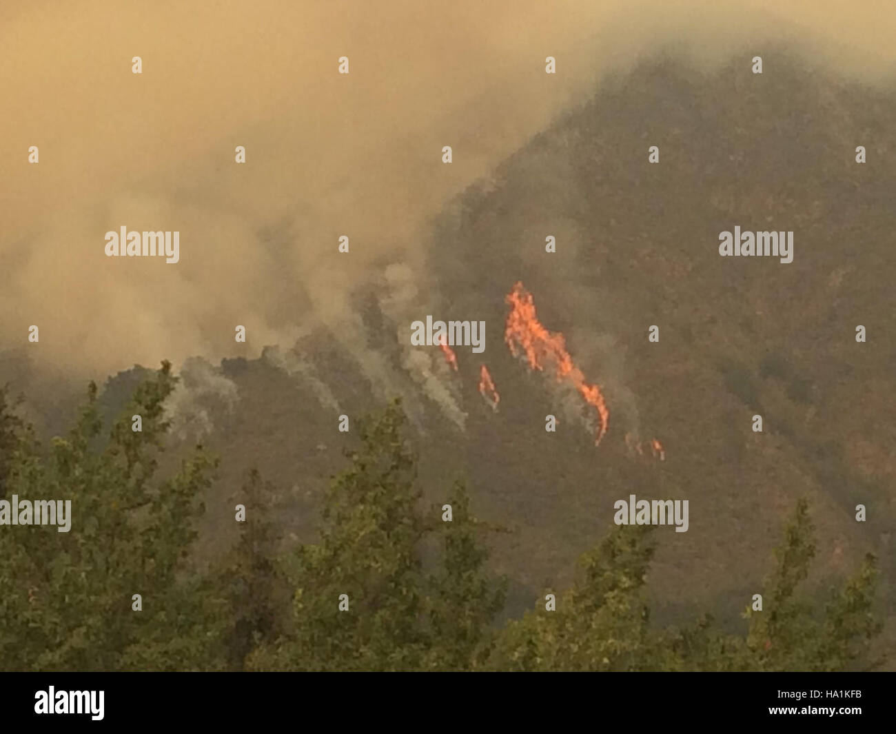 The USDA works on fire management and wildfire prevention across ...