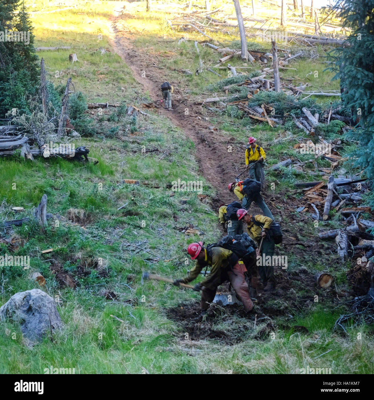 Firefighters work to contain a wildfire in the Grand Canyon ...