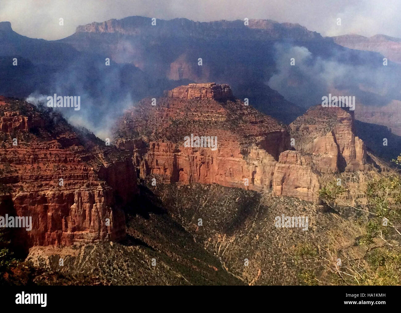 This image captures the aftermath of a wildfire in the Grand Canyon ...