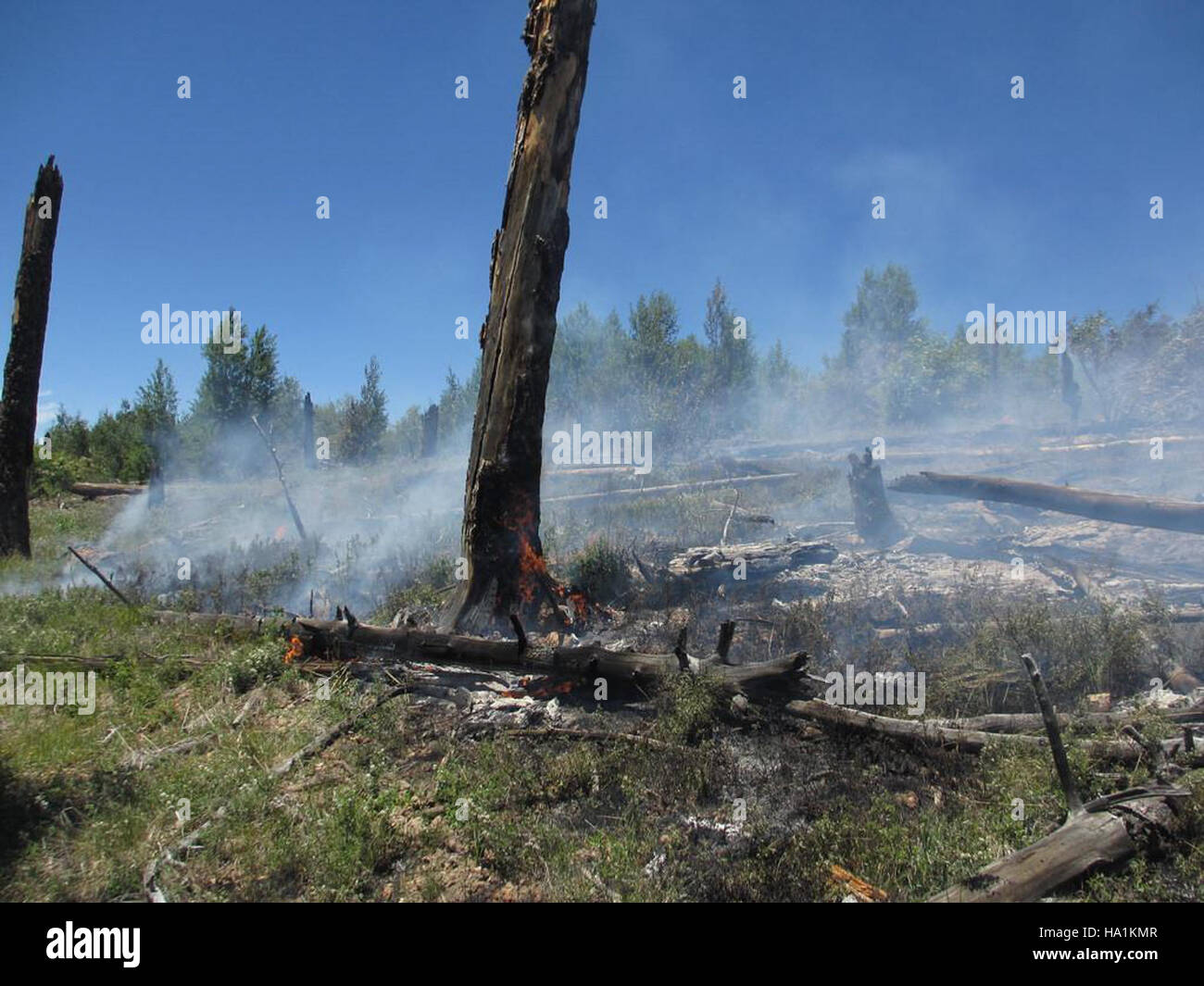 A wildfire in Arizona near the Grand Canyon, captured by the USDA ...