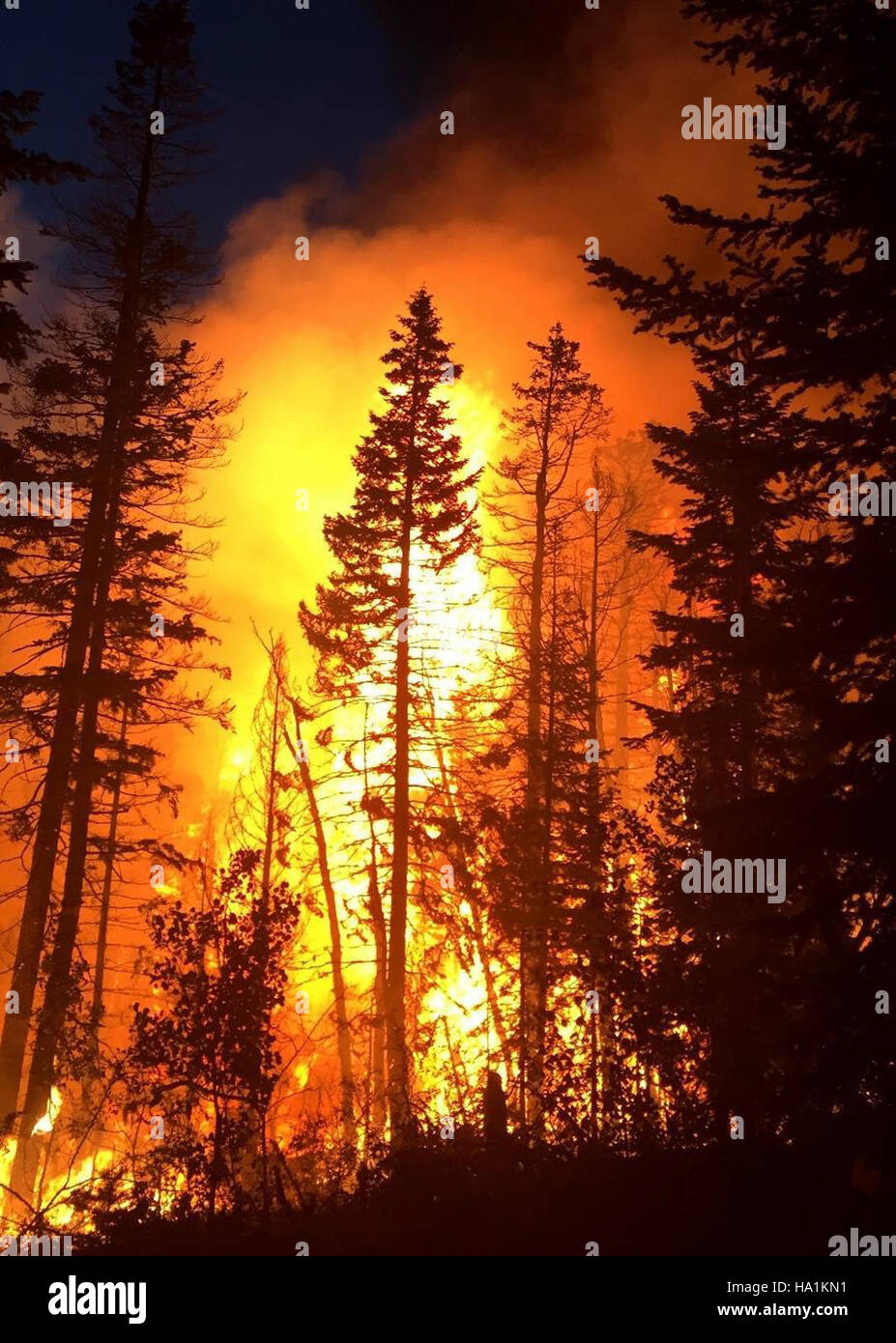 An Arizona wildfire near the Grand Canyon National Park, showing the ...