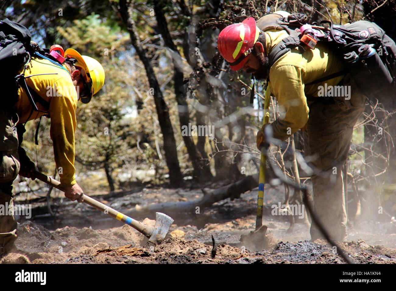 Firefighters in Arizona are seen during the mop-up operation after a ...
