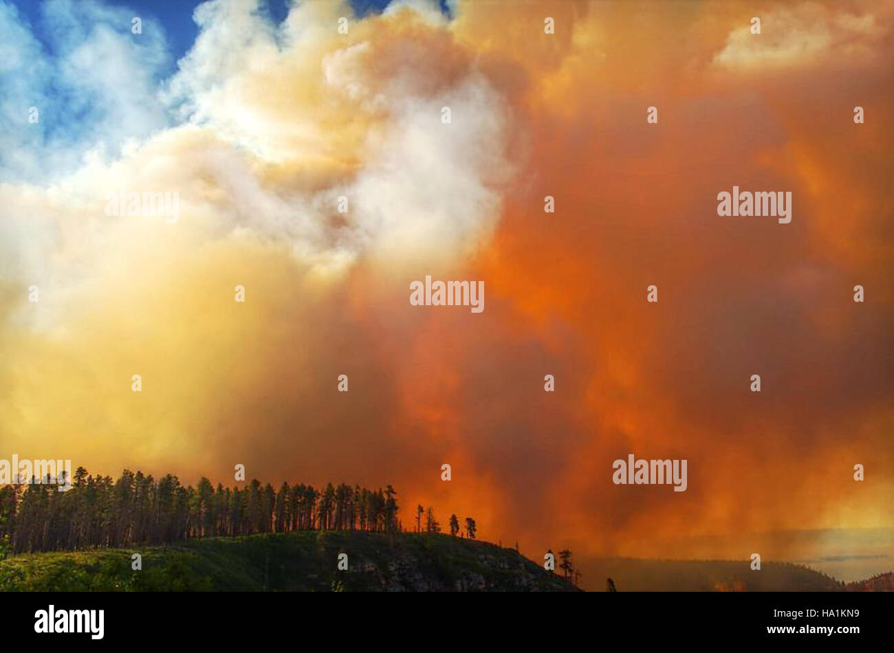 This image shows the ongoing wildfire in Arizona, near the Grand Canyon ...