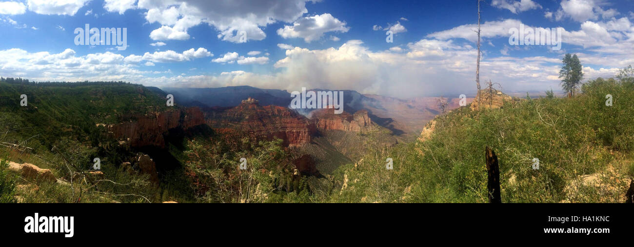 A wildfire in the Grand Canyon, Arizona, is being managed by the U.S ...