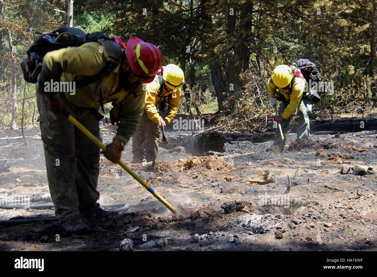 Firefighters conduct mop-up operations at a wildfire in Arizona, near ...
