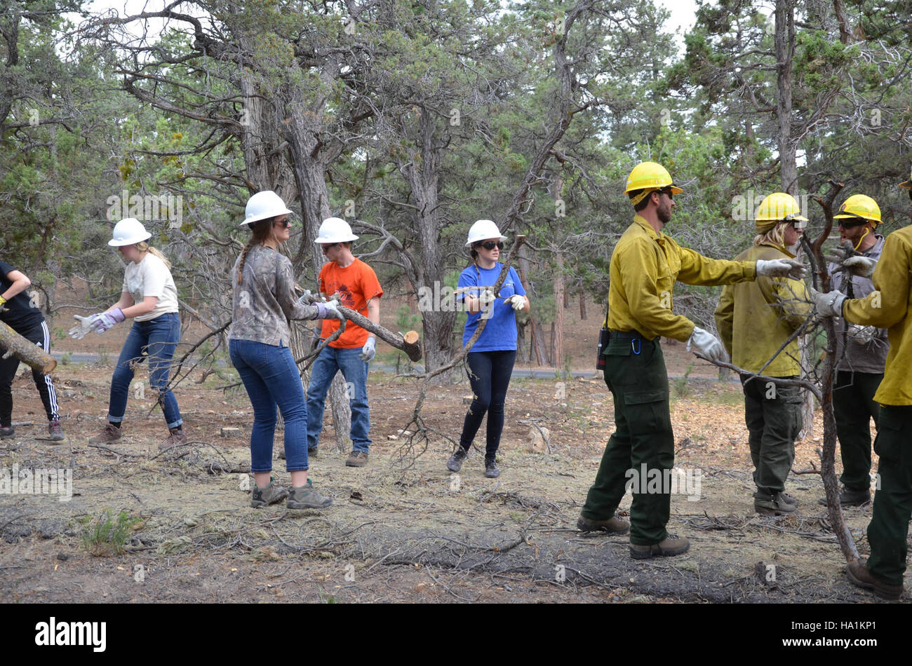 Fire management teams at Grand Canyon National Park conduct routine ...