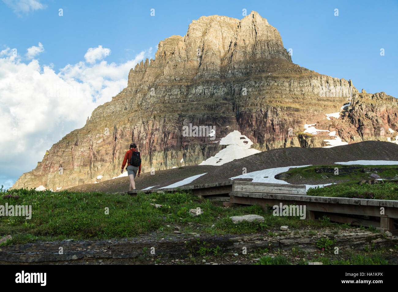 Clements Mountain and a hiker on the Hidden Lake Boardwalk in Glacier ...
