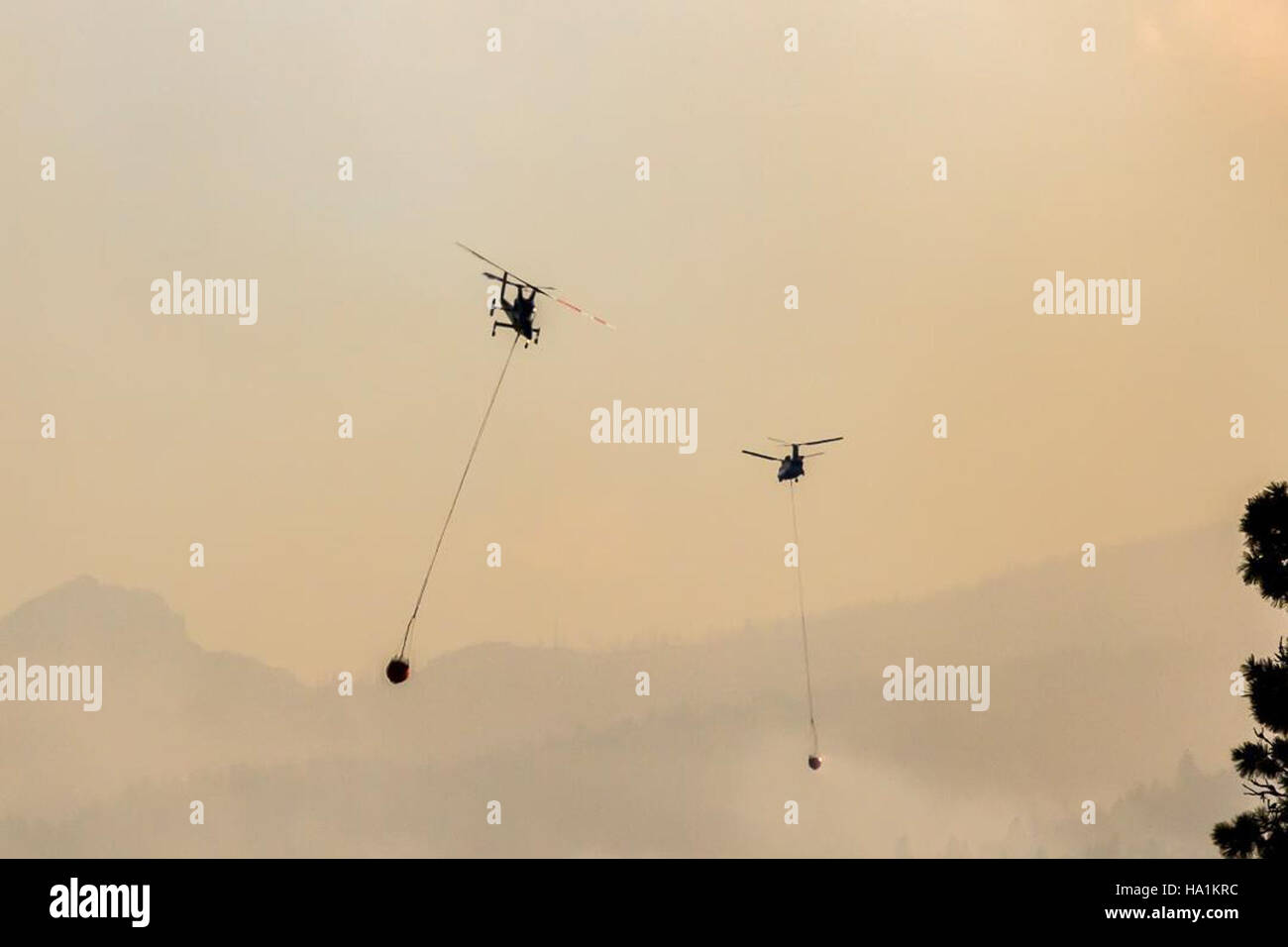 This image shows helicopters used in wildfire fighting operations ...