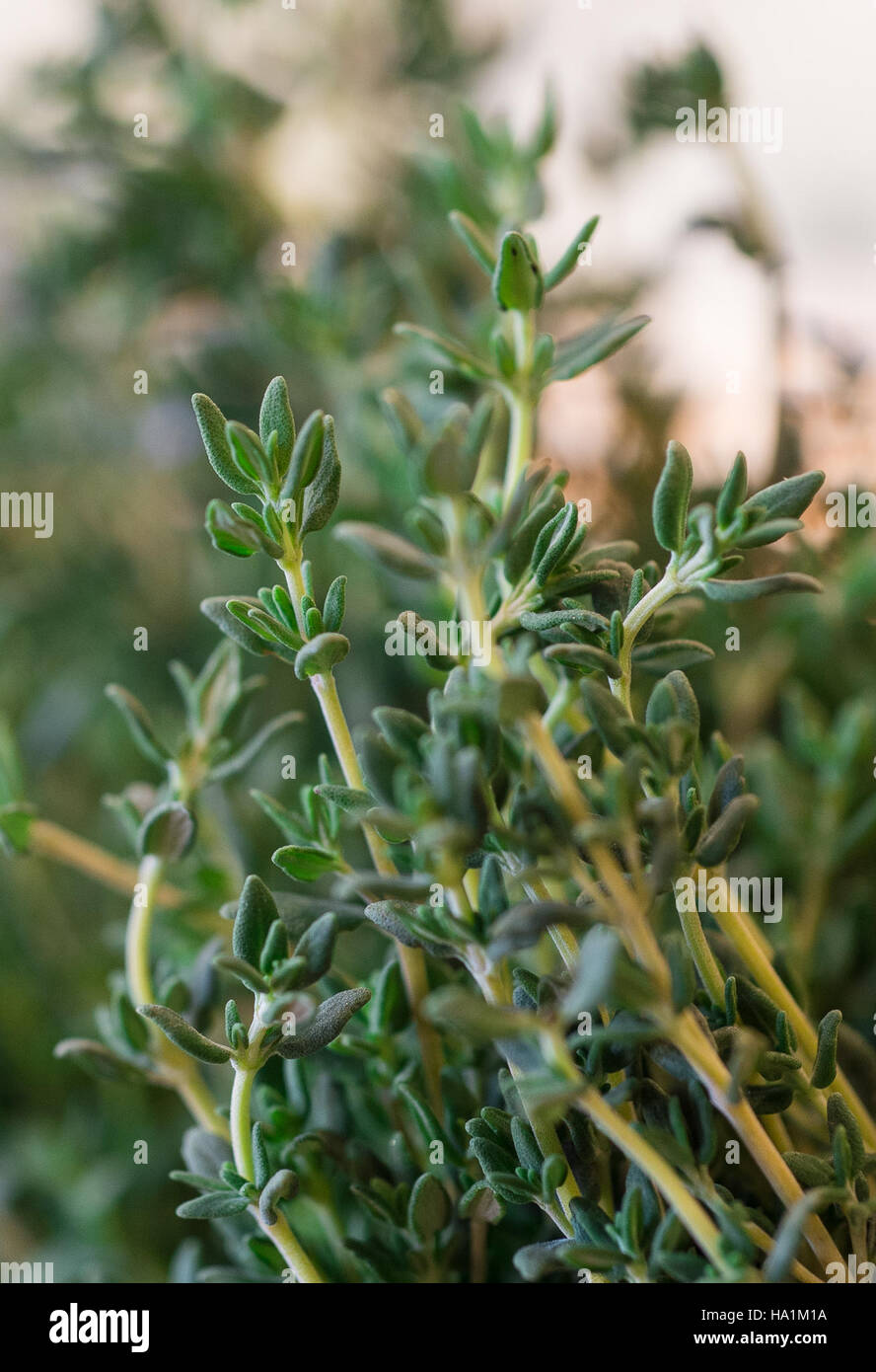 This image highlights the USDA Rural Development program supporting ...