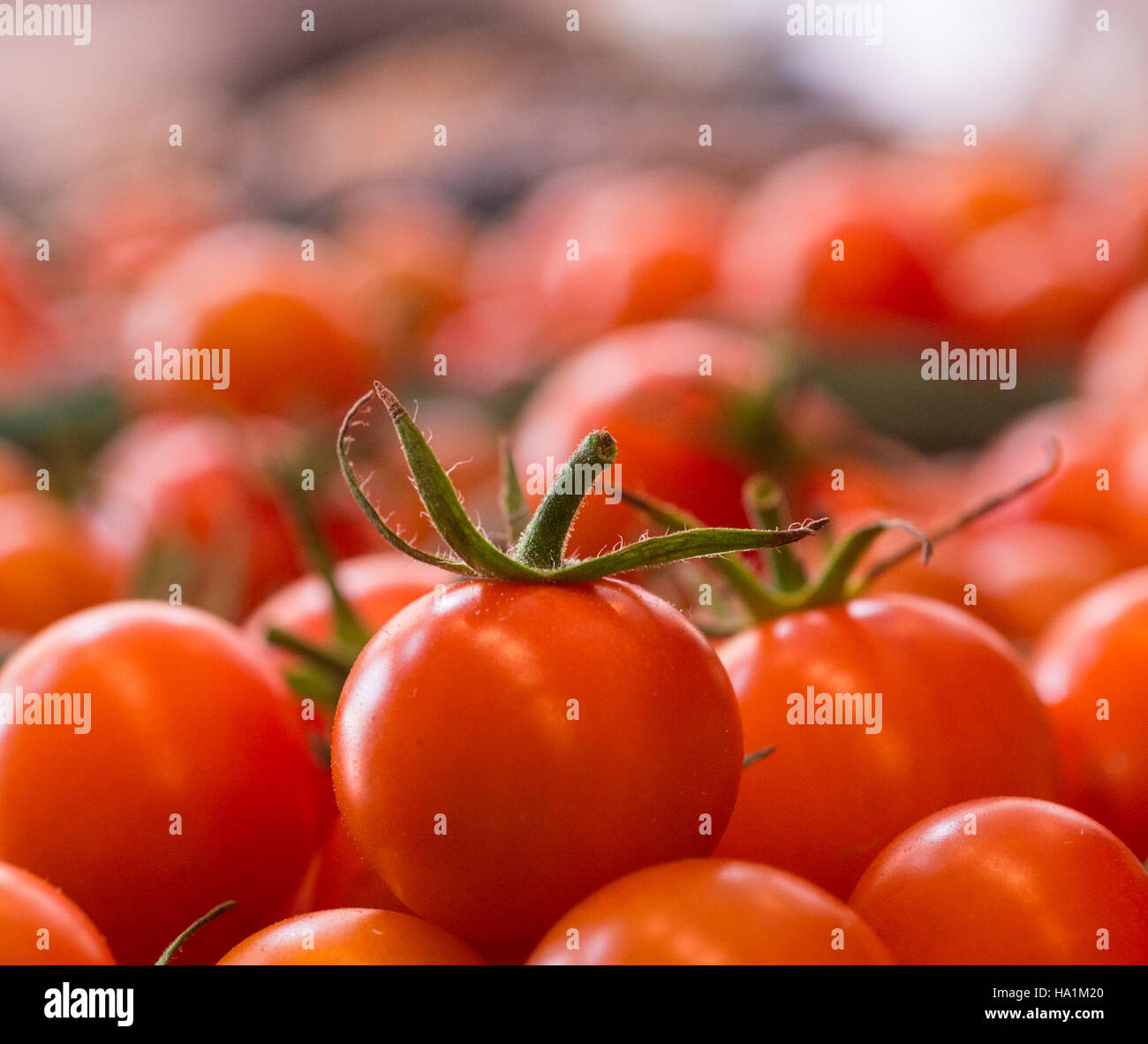 The USDA's Rural Development program supports local businesses such as ...