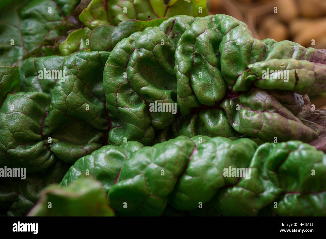 The USDA's Rural Development program supports cooperative markets like ...