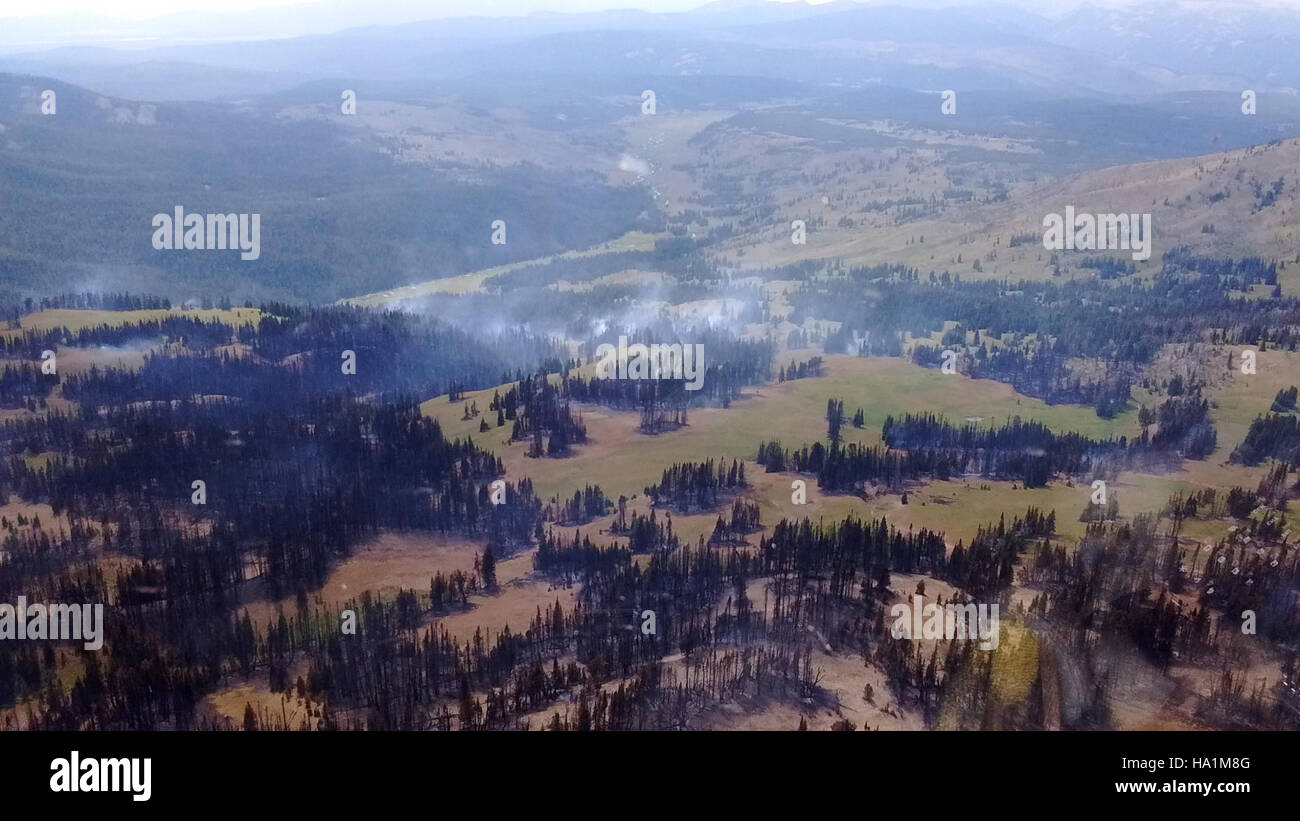 This image from Yellowstone National Park shows the aftermath of the ...