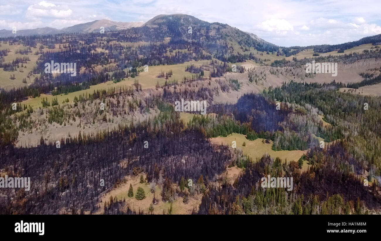 The Fawn Fire in Yellowstone National Park, which occurred on August 8 ...