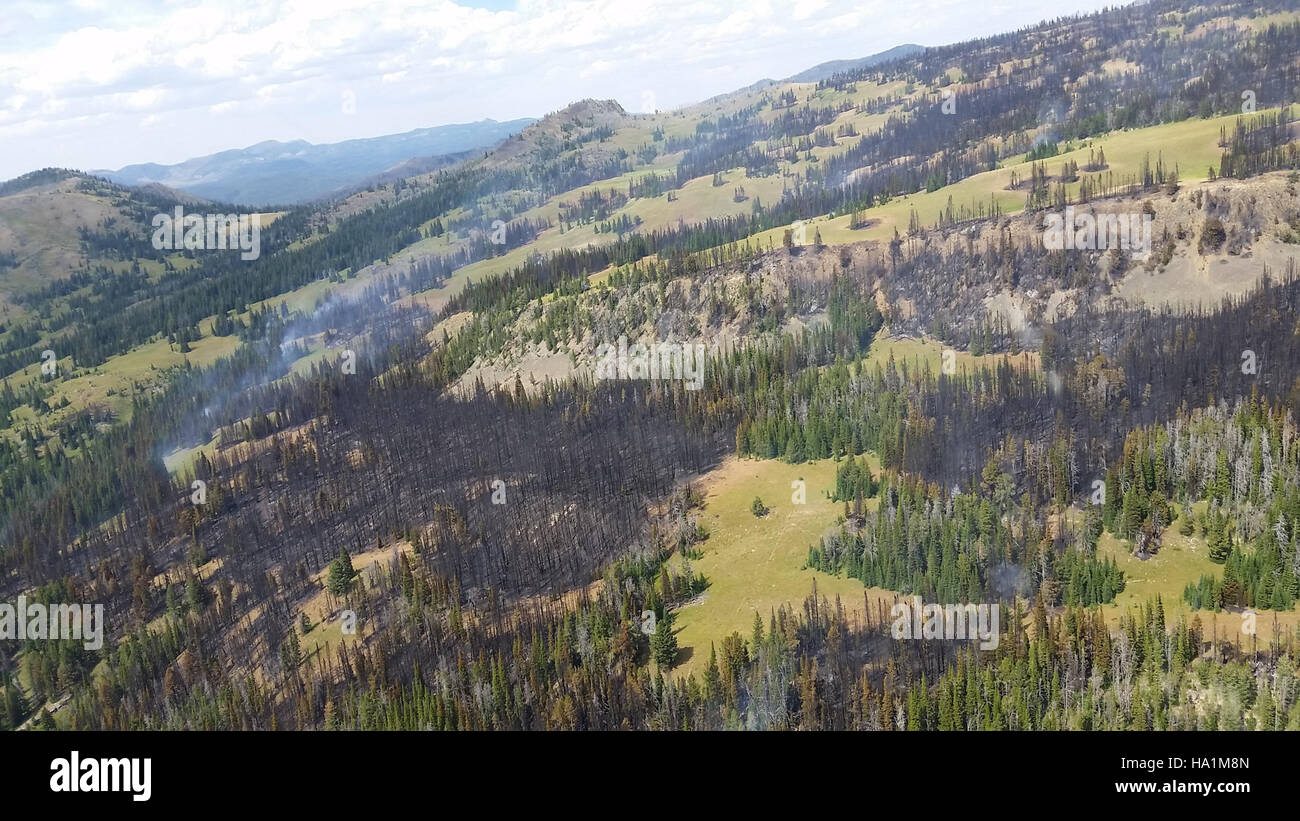 This image depicts the Fawn Fire in Yellowstone National Park, a ...