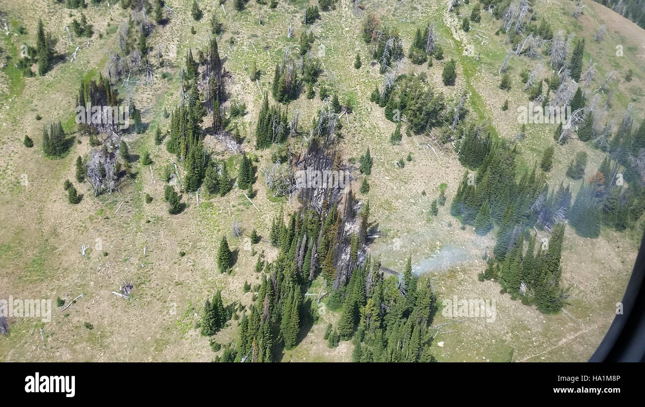 This image depicts the aftermath of the Fawn Fire that occurred in ...