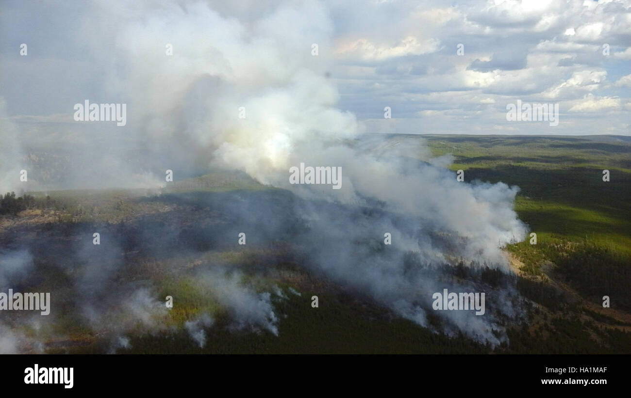 This image depicts the aftermath of the Maple Fire in Yellowstone ...