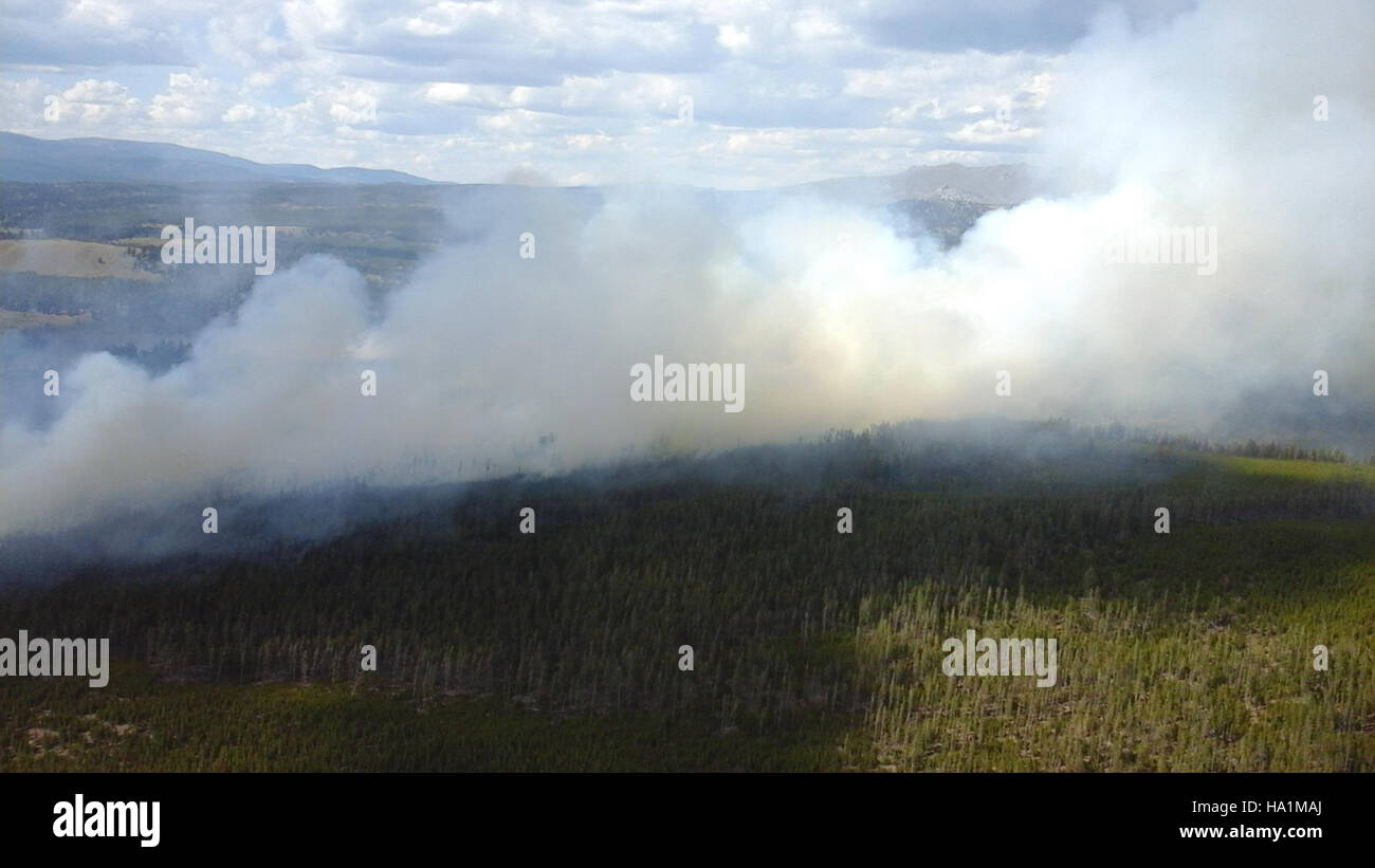 The Maple Fire in Yellowstone National Park, which occurred on August ...