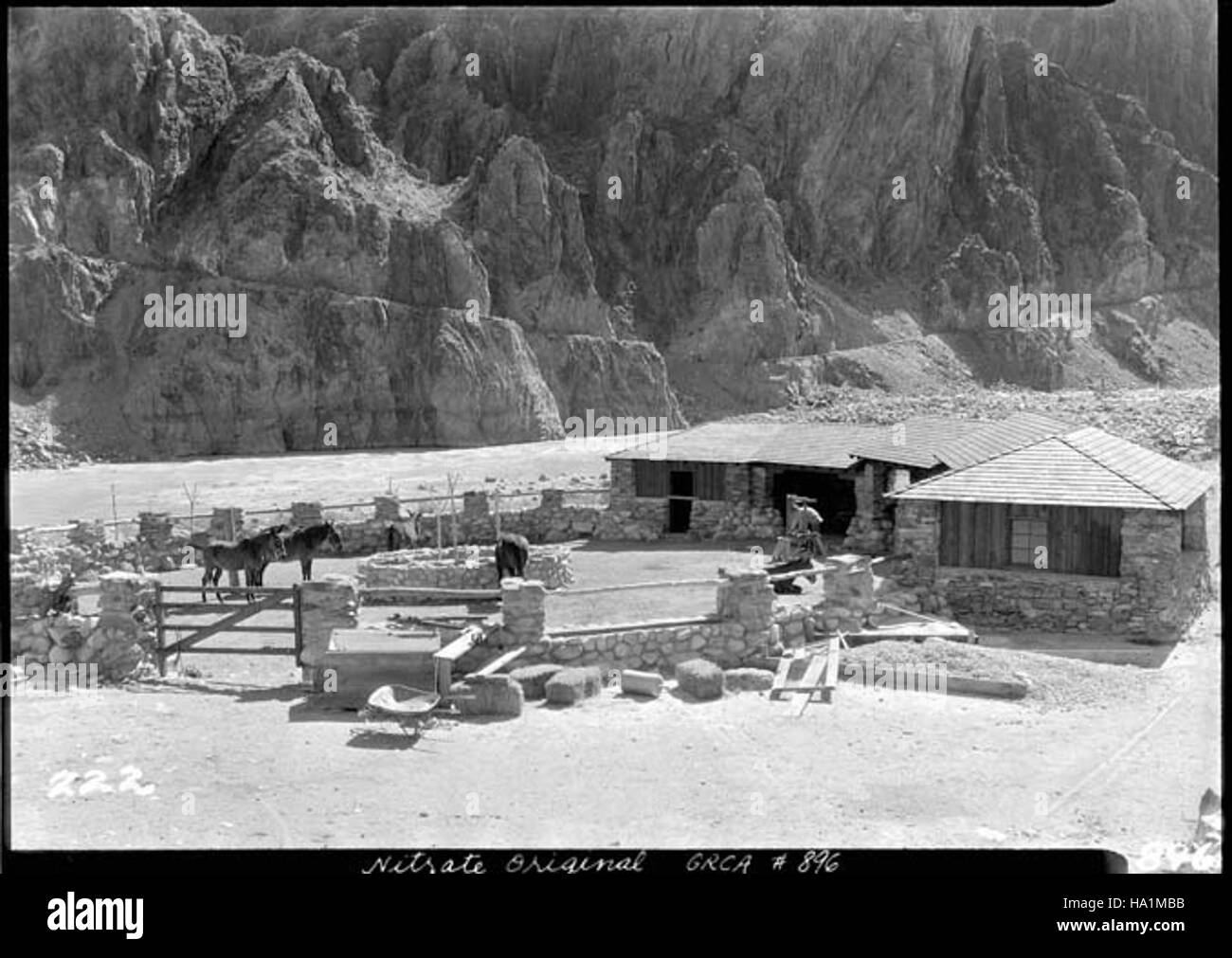 A historic image of the Grand Canyon Mule Corral from around 1935 ...
