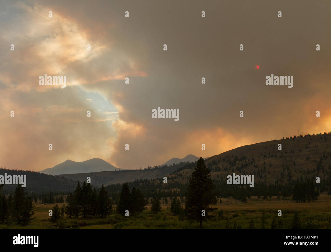 Smoke from the Maple Fire rises above the Gallatin Mountains in ...