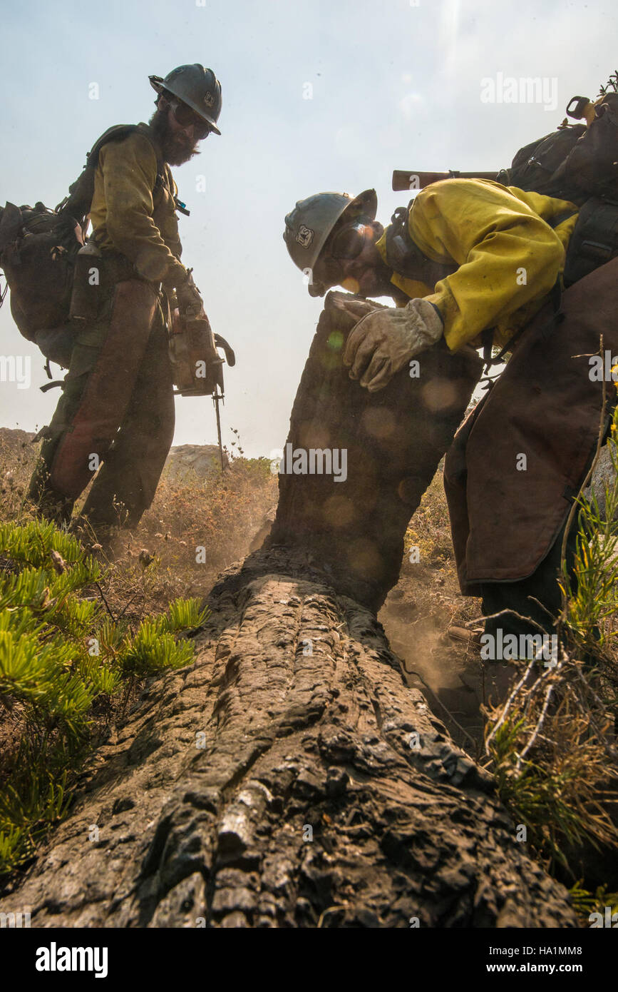 The USDA and U.S. Forest Service work together to manage wildfires in ...