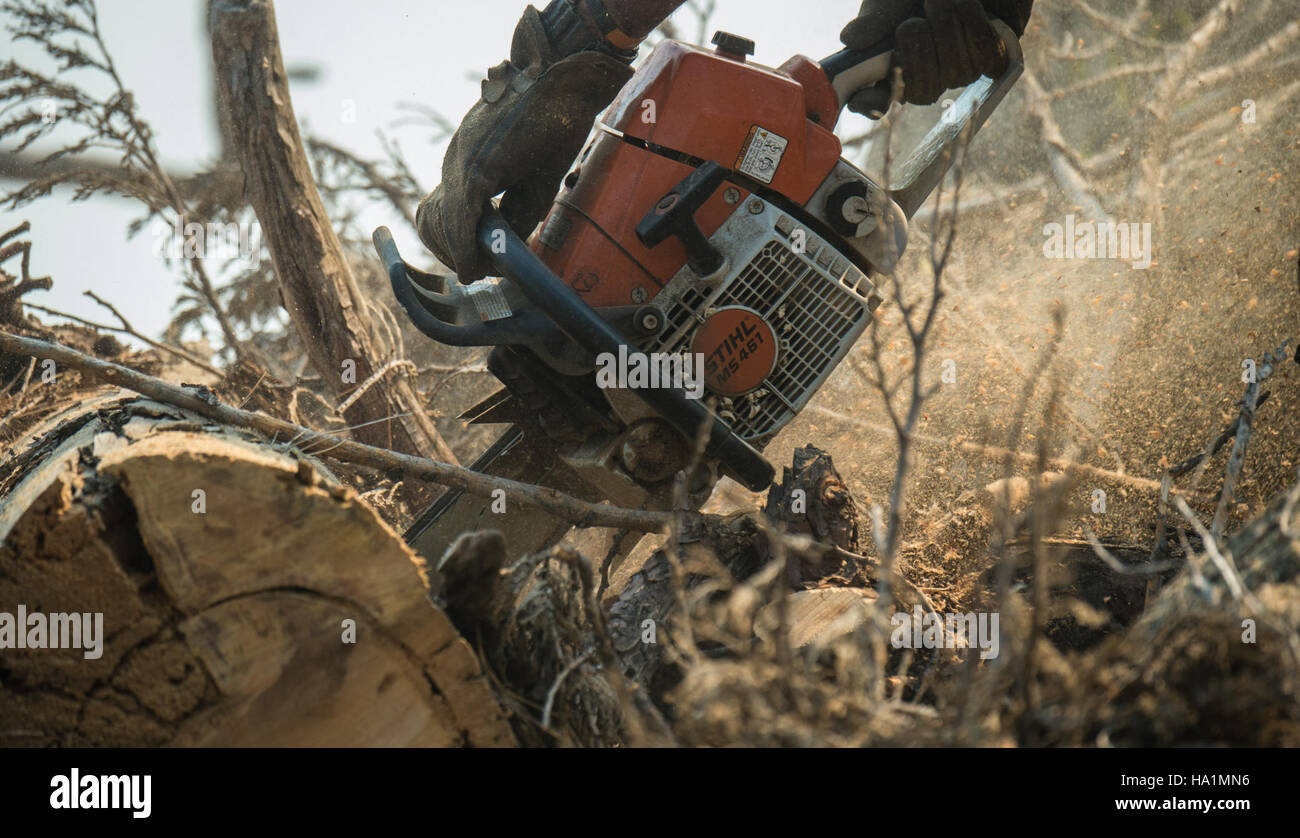 This image highlights USDA efforts in forest management during wildfire ...