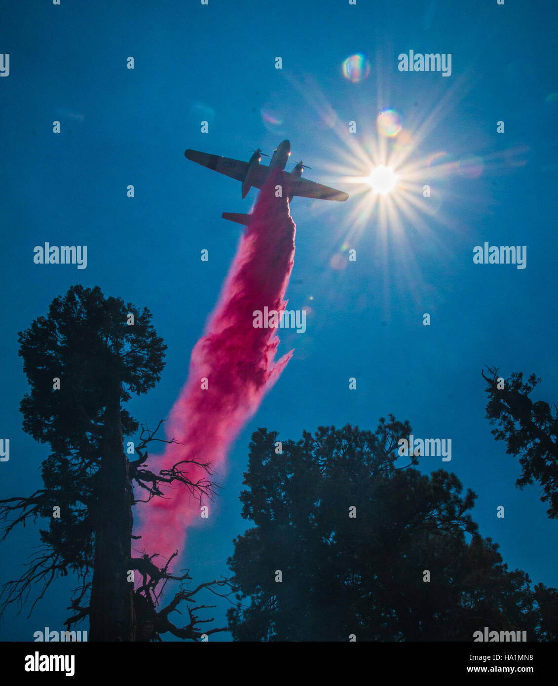A large air tanker deployed by the USDA Forest Service assists in ...