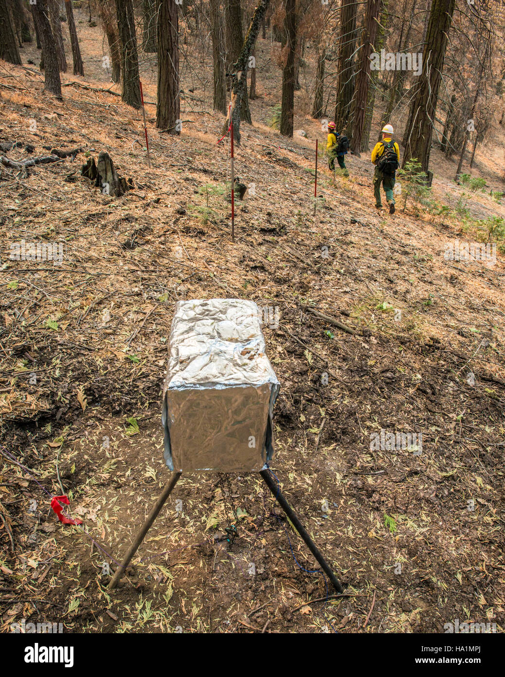 The USDA and U.S. Forest Service’s Adaptive Management Services ...