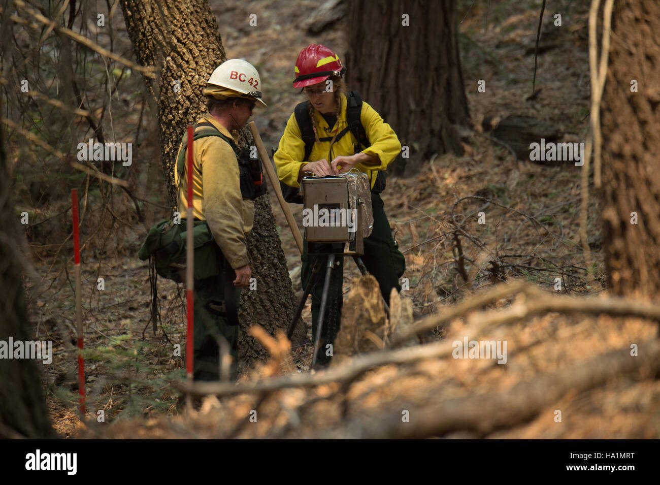 This image shows a team from the U.S. Forest Service conducting fire ...