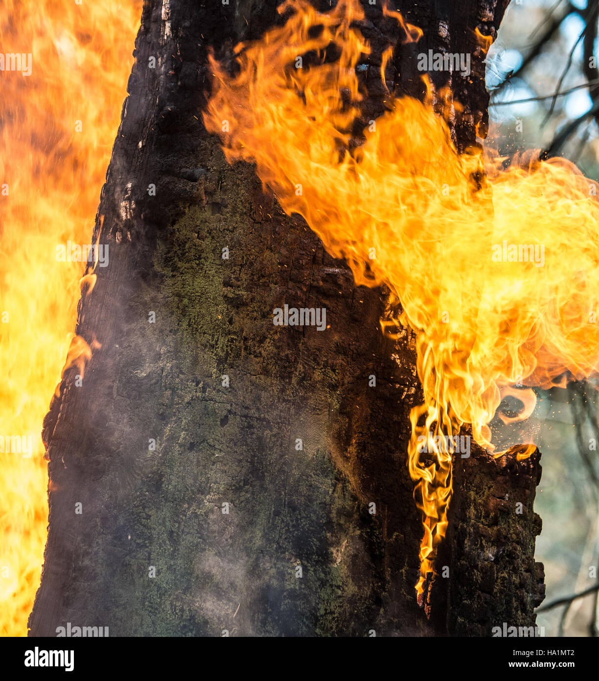 This image depicts a wildfire in the Kern County area of California ...
