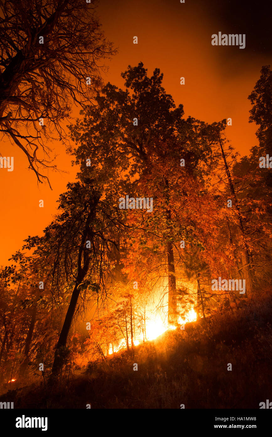 The U.S. Department of Agriculture oversees forest fire management ...
