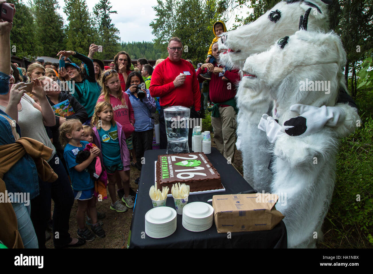 Goats celebrate the centennial of Glacier National Park by interacting ...
