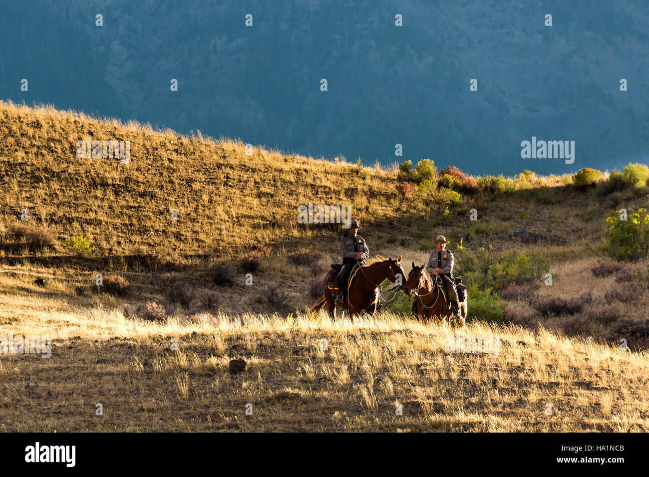 National park ranger patrols hi-res stock photography and images - Alamy