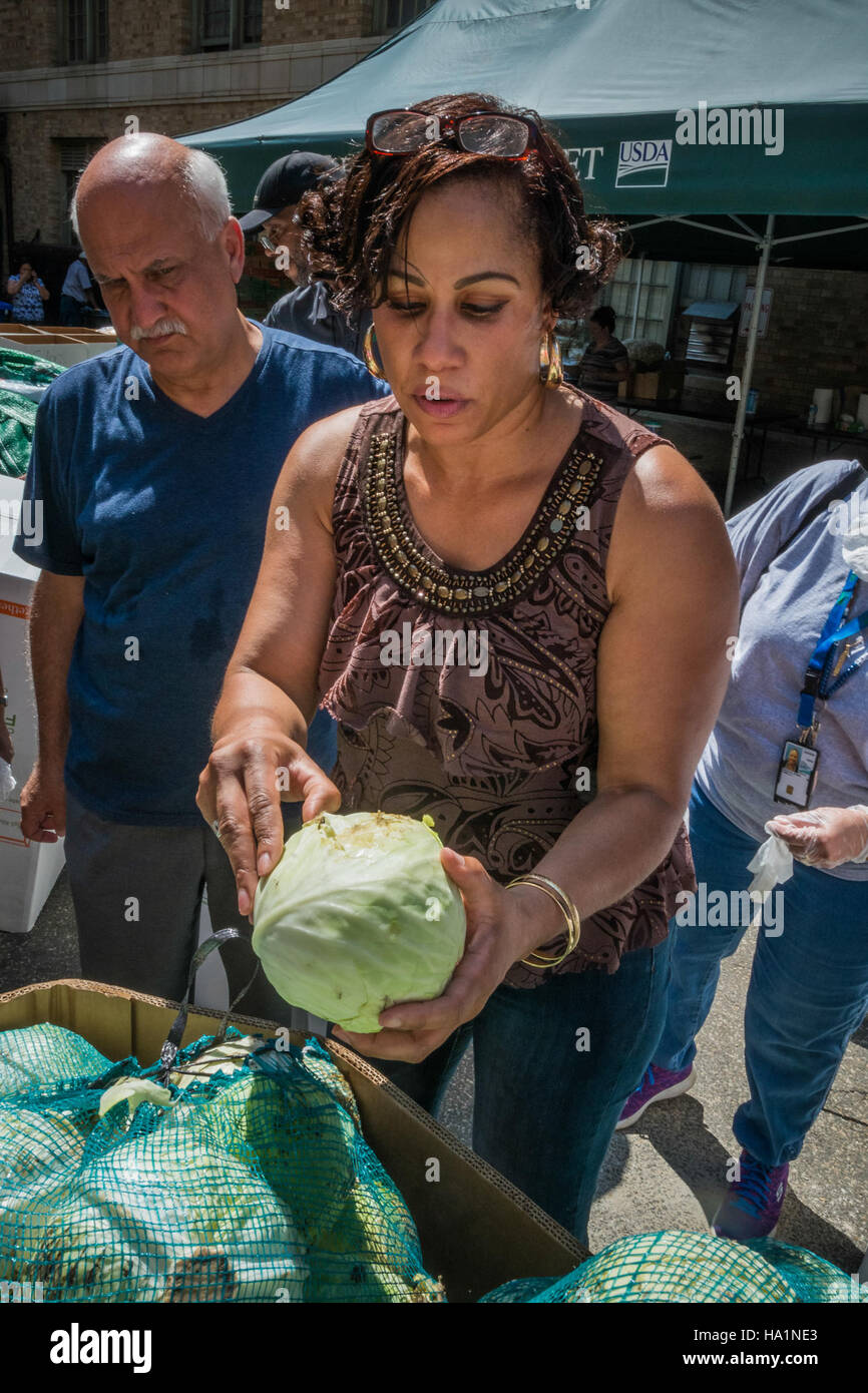 A USDA-managed gleaning event in Washington D.C., where volunteers ...