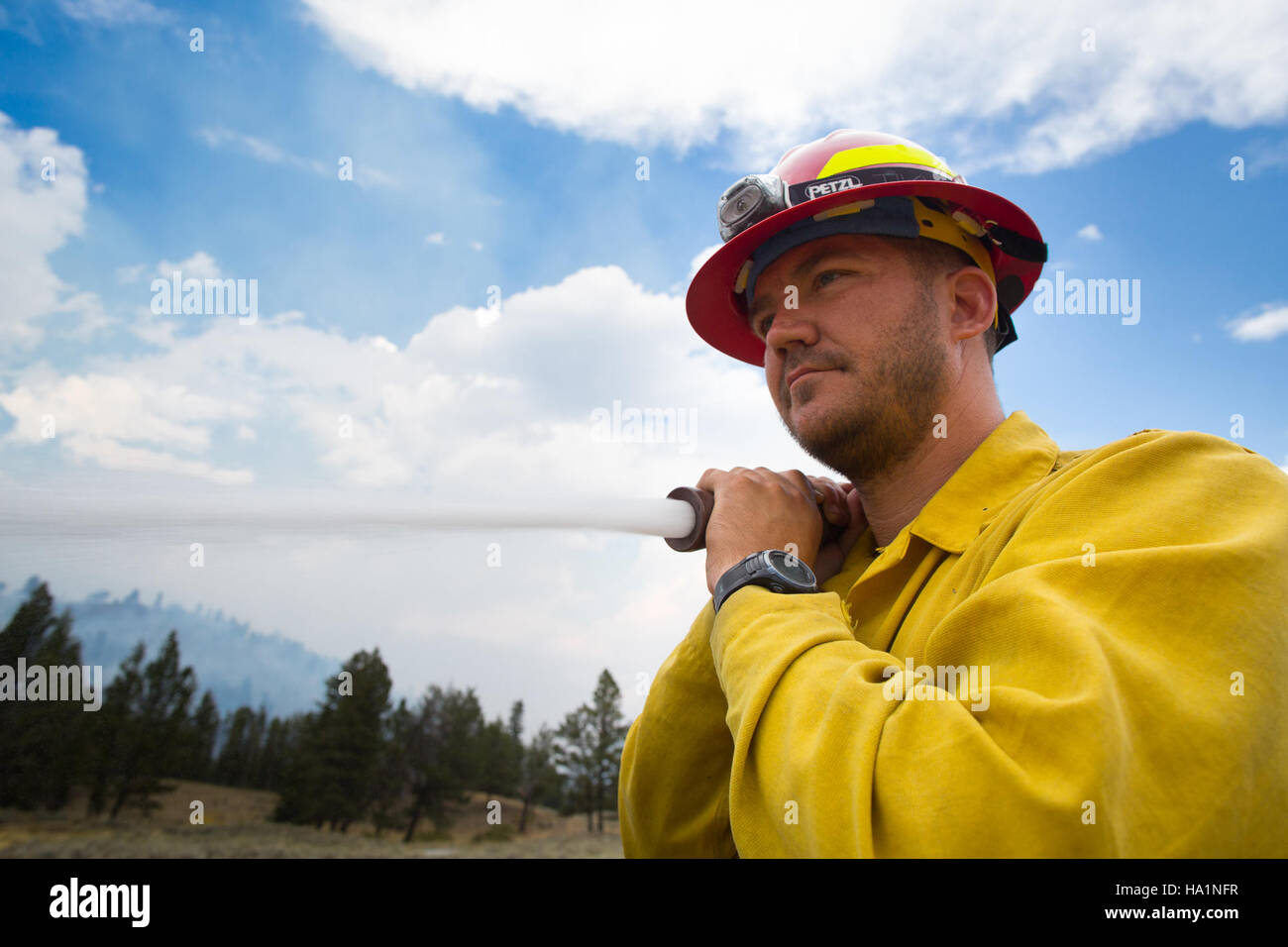 Engine crews at Yellowstone National Park work to manage and contain ...