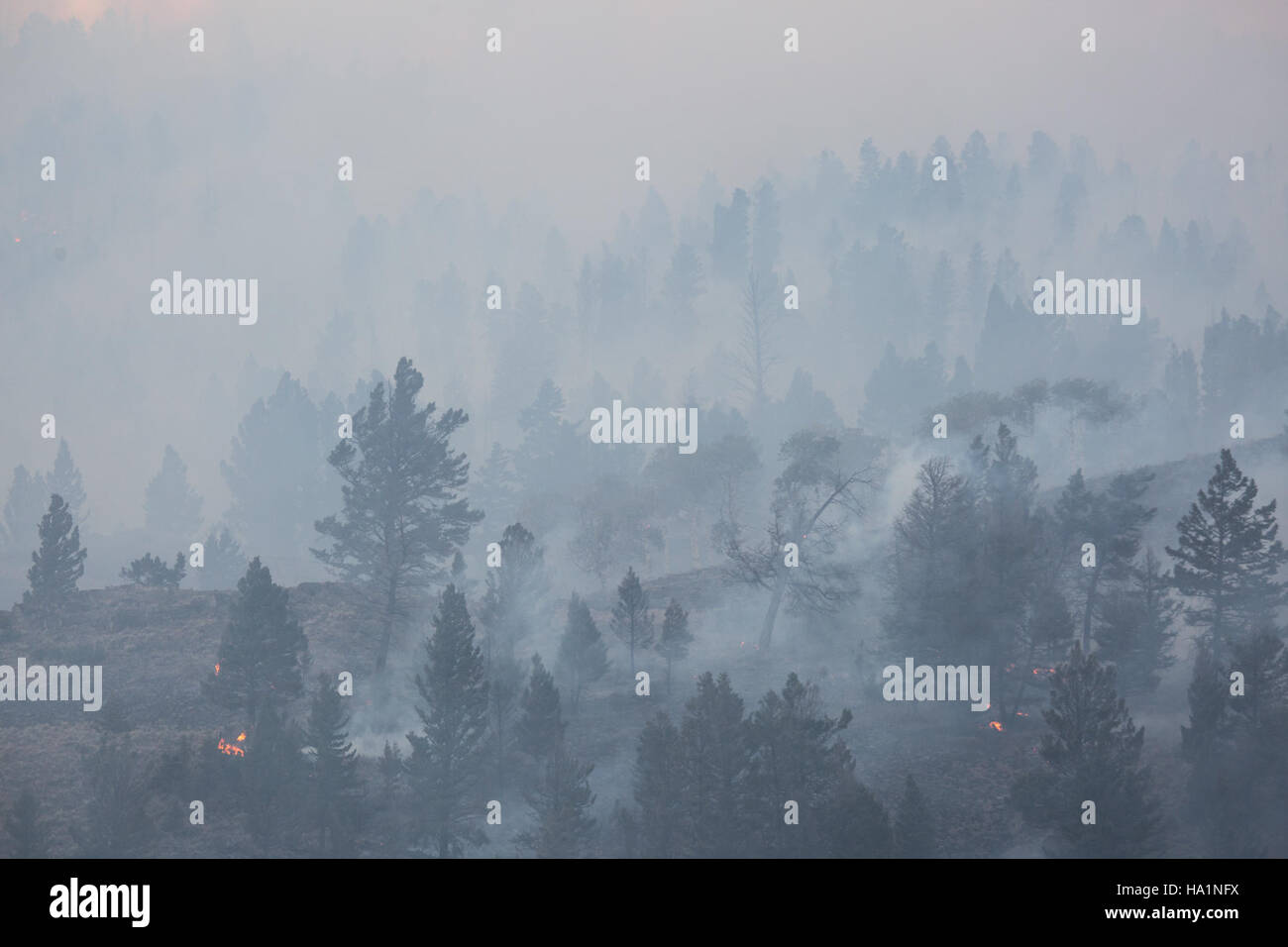 A view of the Buffalo Fire at Slough Creek in Yellowstone National Park ...
