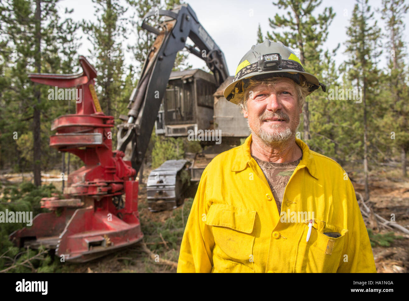 This image illustrates the fuels treatment program in Yellowstone ...