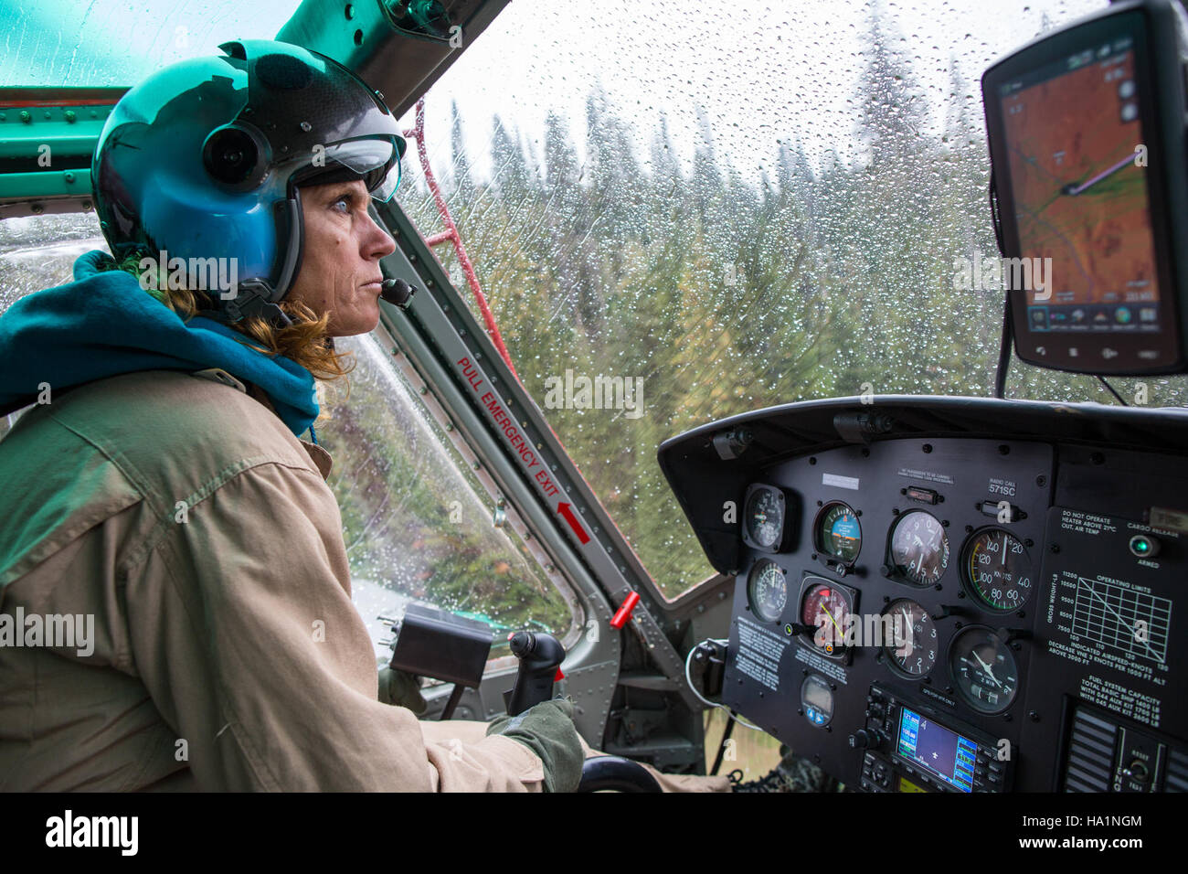 A photograph documenting the Fawn Fire in Yellowstone National Park on ...