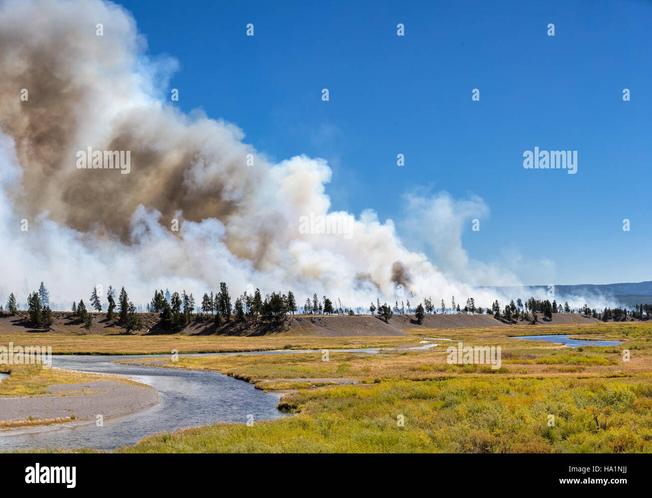 The Maple Fire in Yellowstone National Park, which occurred on ...