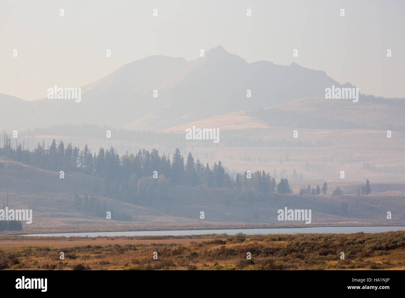 The Maple Fire, a wildfire in Yellowstone National Park, occurred on ...