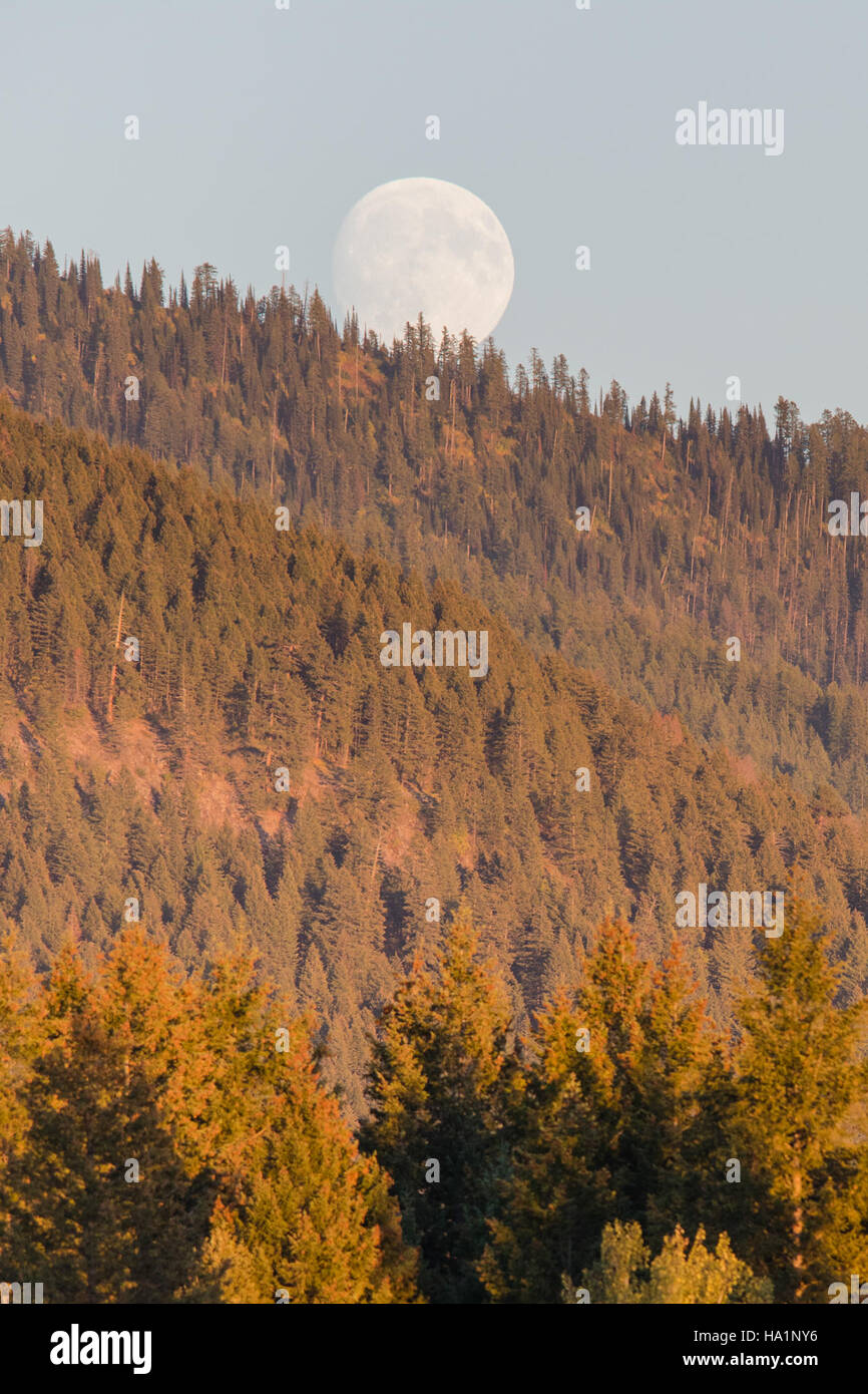 A stunning moonrise over the mountains in Glacier National Park ...