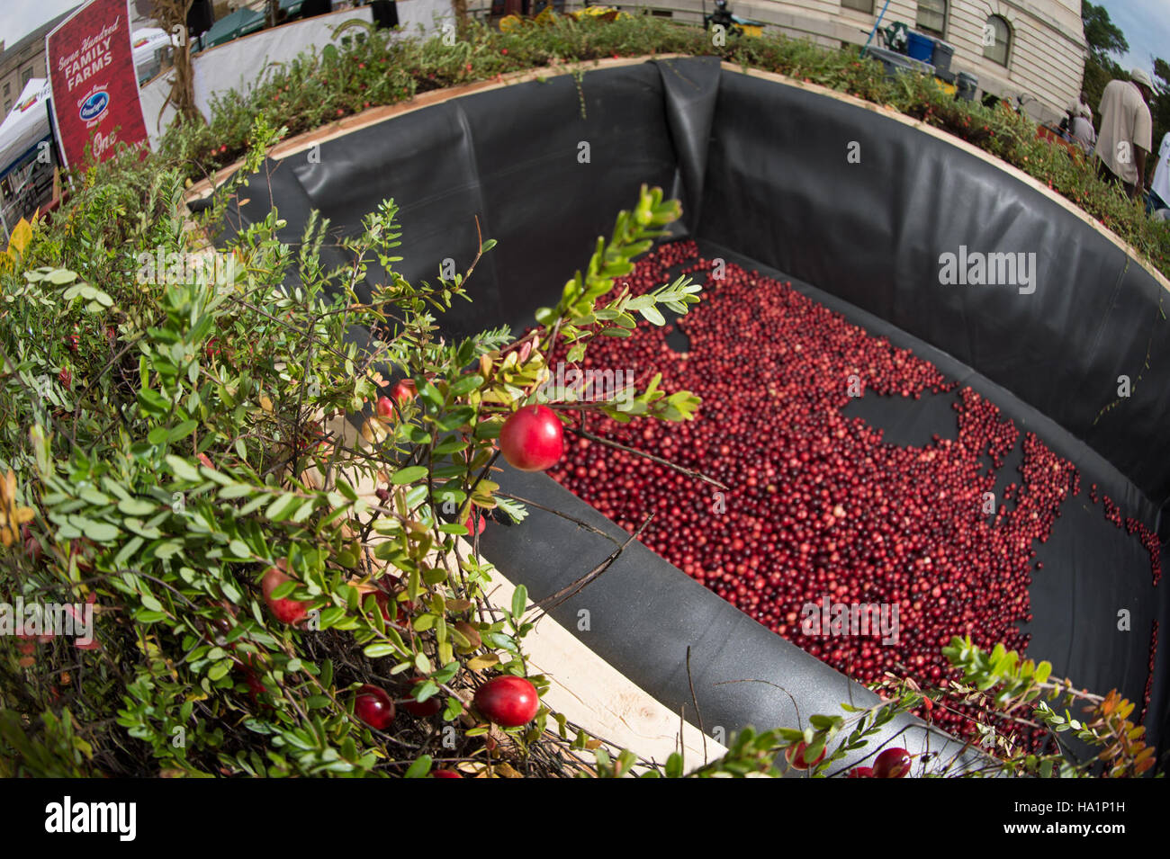 This image shows the Ocean Spray plant in Washington, D.C ...