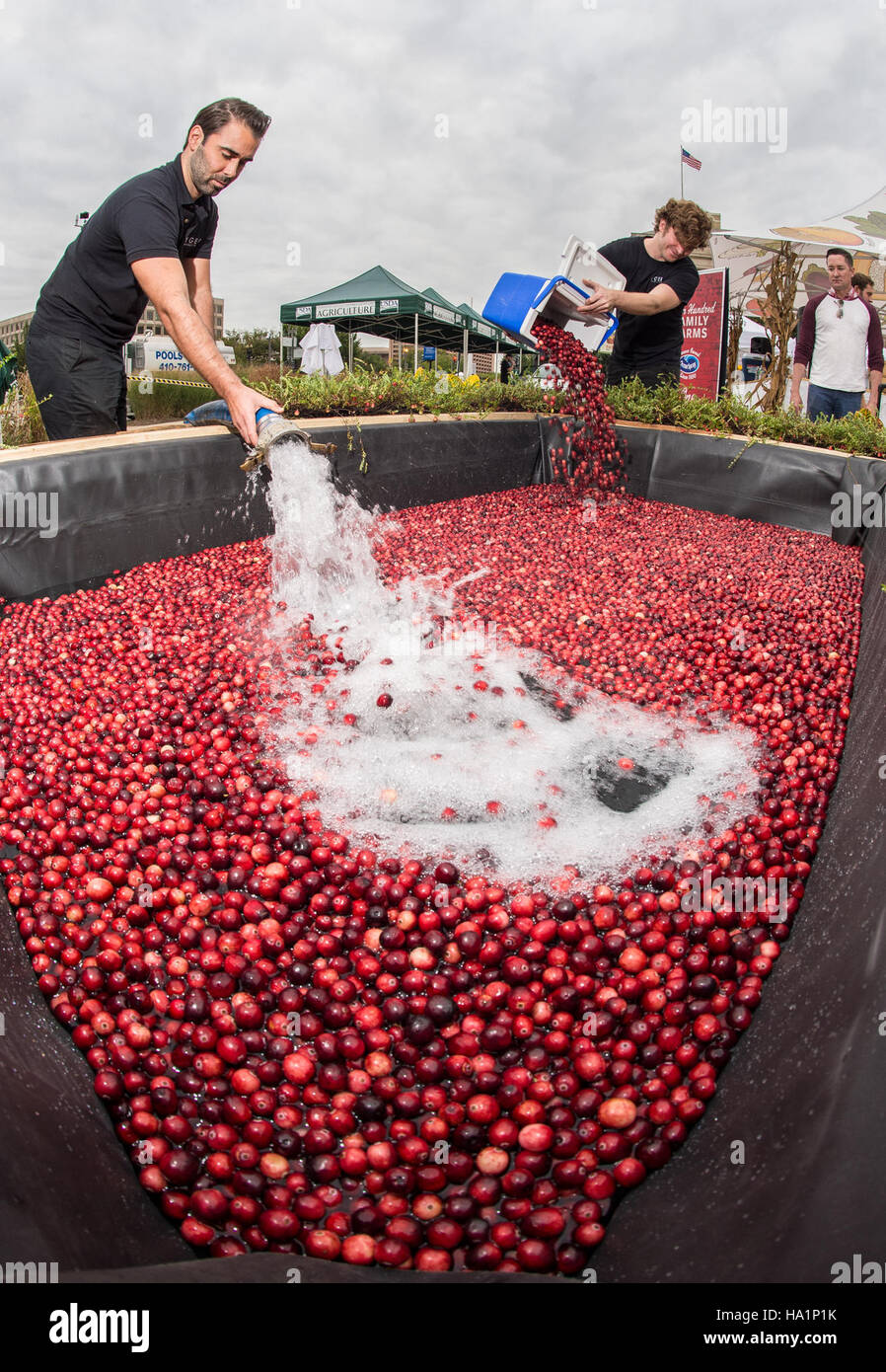 The USDA's Ocean Spray Plant in Washington, D.C. focuses on cranberry ...