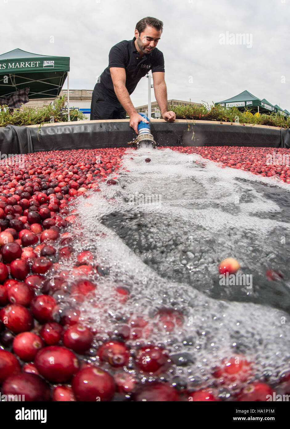 The image captures a view of the Ocean Spray plant in Washington D.C ...