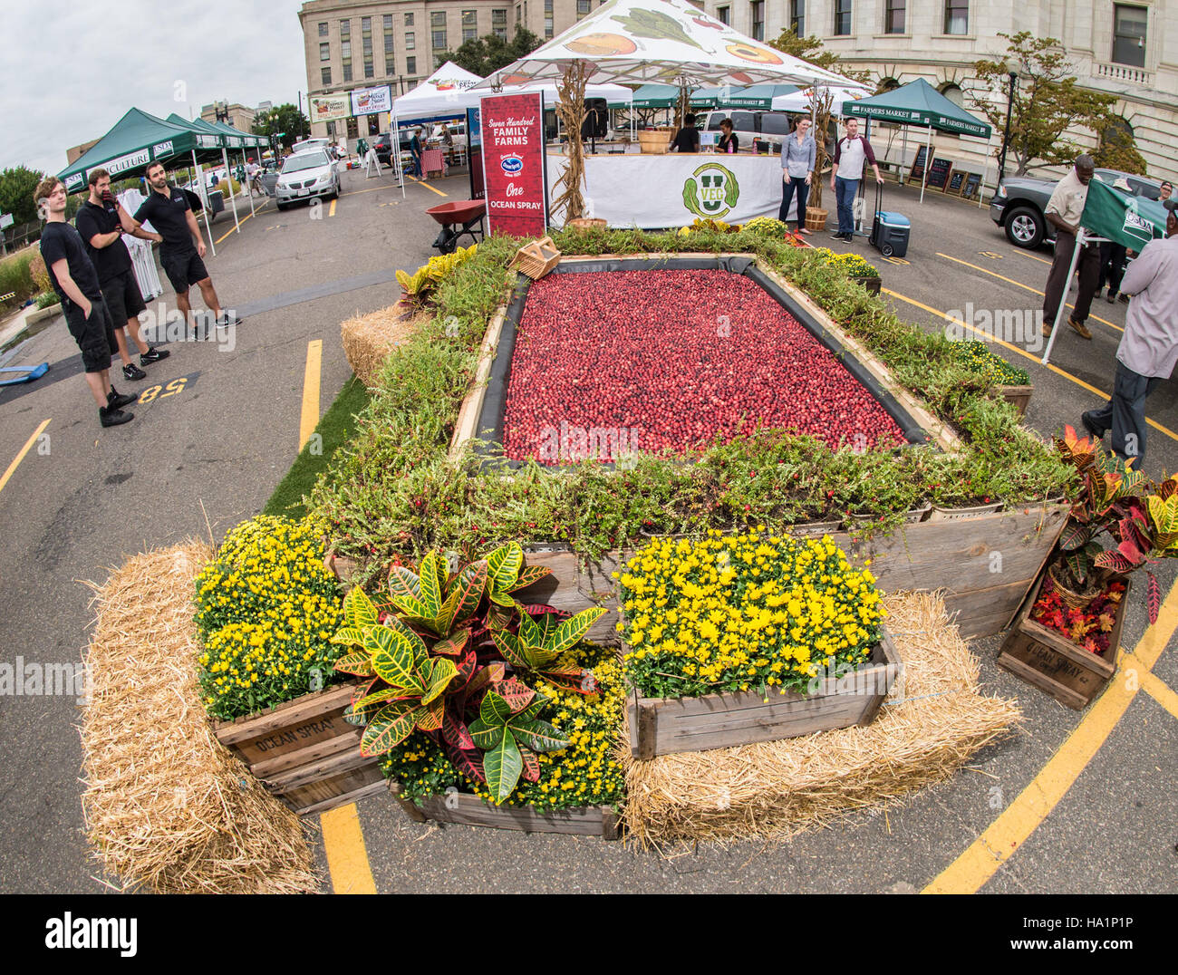 This image showcases the U.S. Department of Agriculture's (USDA ...