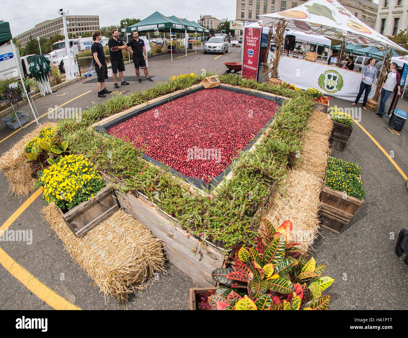 The Ocean Spray plant in Washington D.C. is a cooperative involved in ...