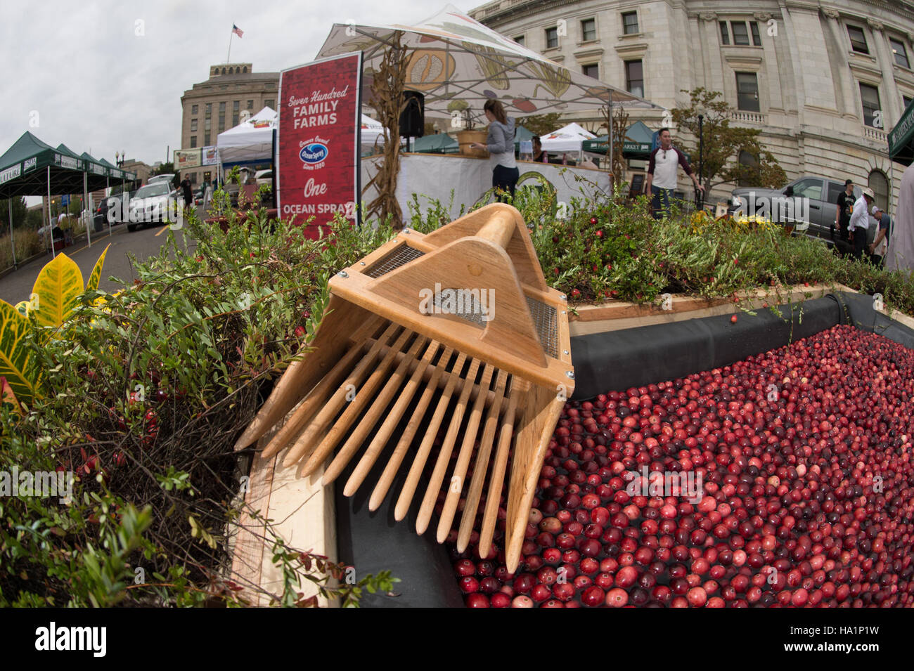 The USDA’s Ocean Spray plant in Washington, D.C. focuses on the ...