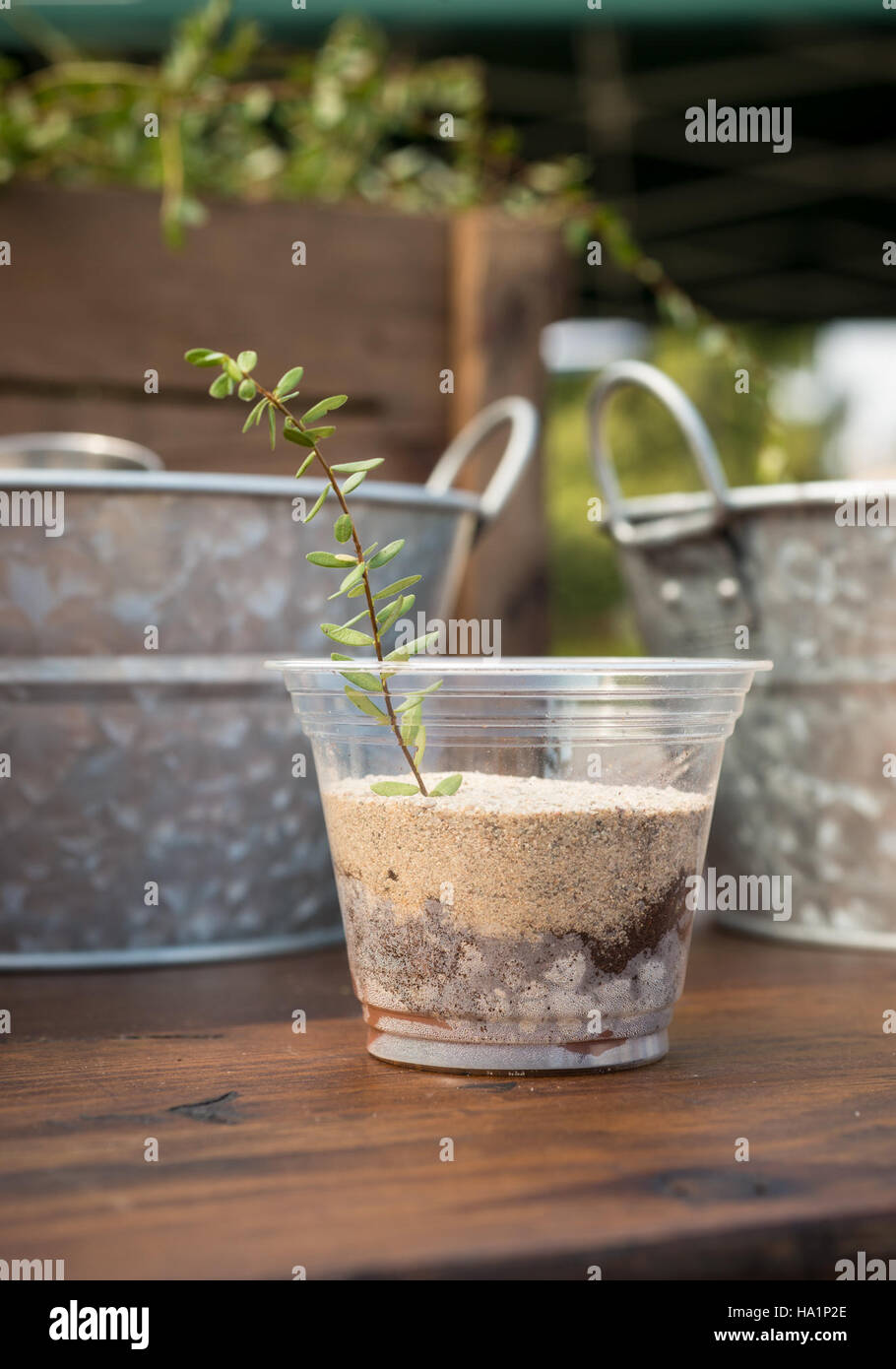 The USDA highlights the operations of the Ocean Spray plant in ...