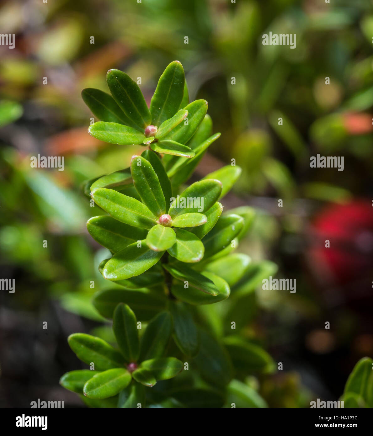 This image shows the Ocean Spray plant in Washington, D.C., where ...